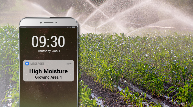 Managing Irrigation with Remote Monitoring